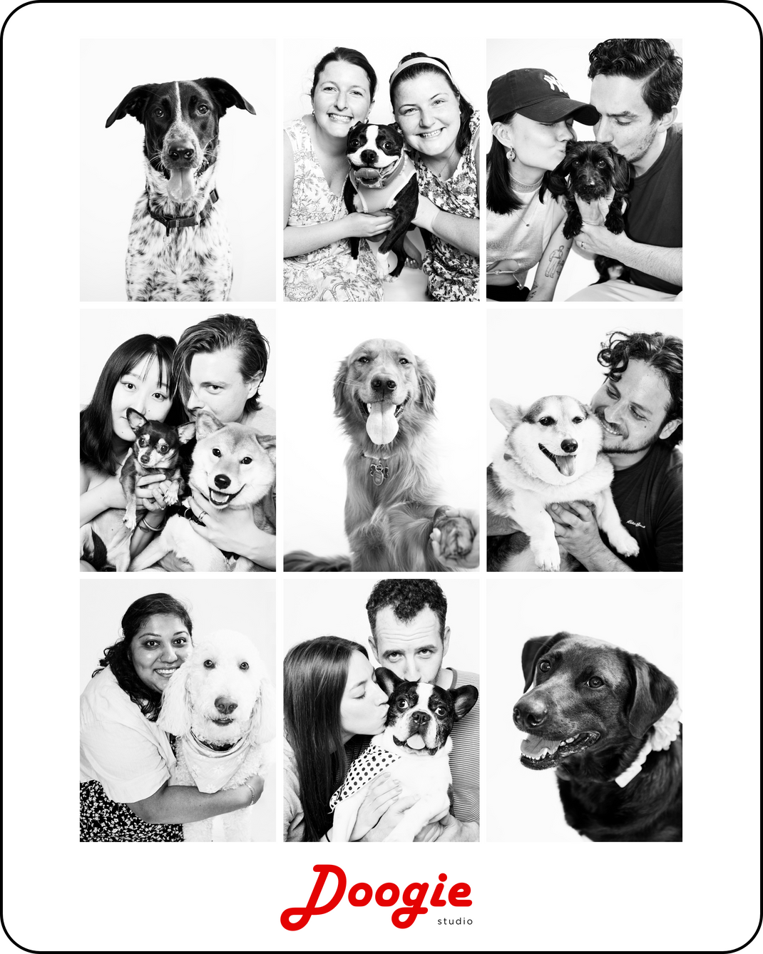 Doogie Studio | For Pets and Their Humans